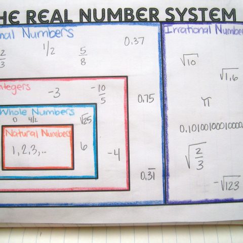 Real Number System Graphic Organizer | Math = Love