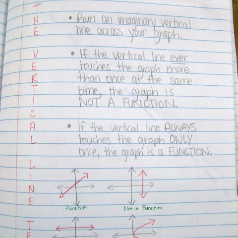 Justifying Function or Not a Function Notes | Math = Love