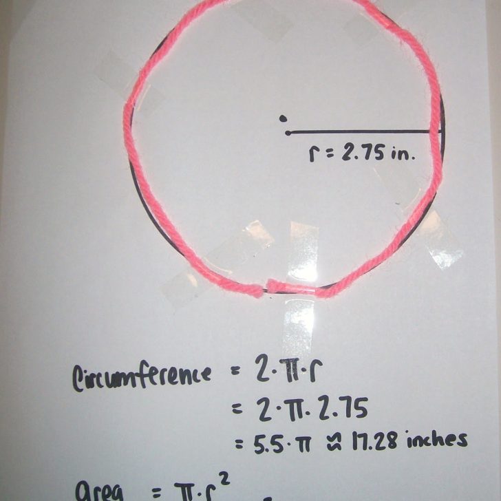 Conic Sections Foldable Math Love