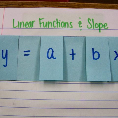 Forms of Linear Equations Foldable | Math = Love