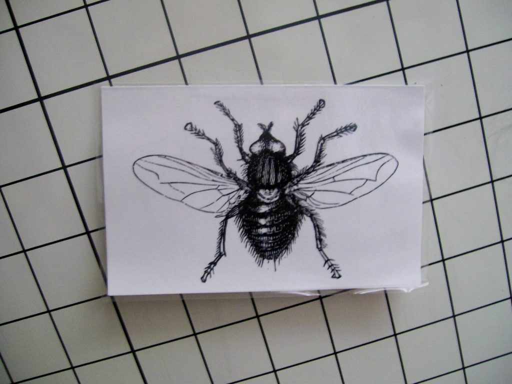 Parts of an Expression Foldables | Math = Love