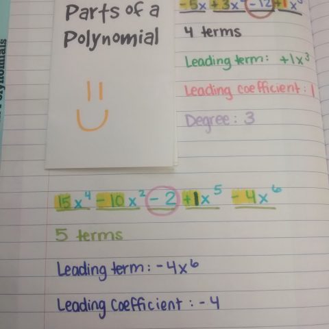 Polynomials | Math = Love