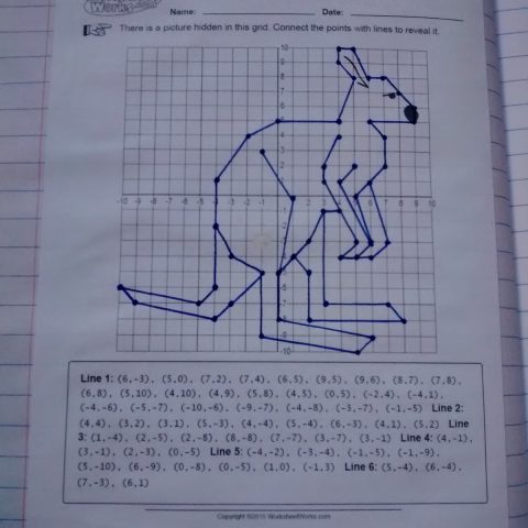 Kangaroo Coordinate Picture | Math = Love