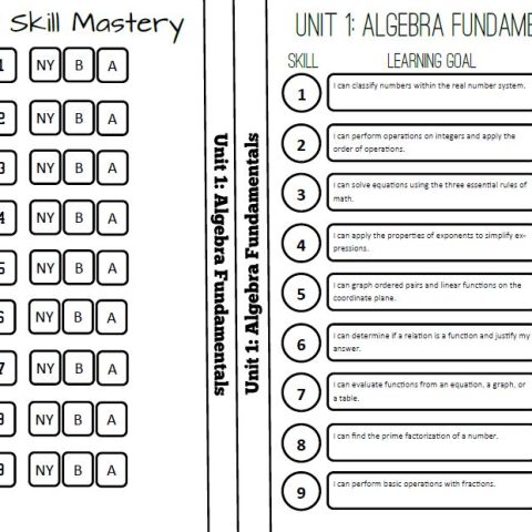 Function vs Not a Function Puzzle Activity | Math = Love
