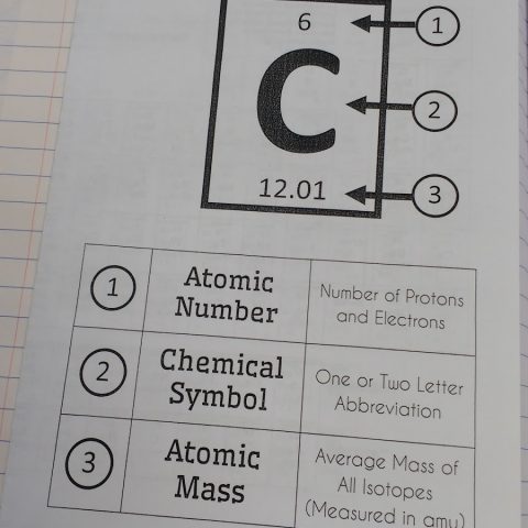 Odd One Out Chemistry Activity | Math = Love
