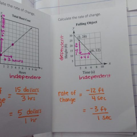 The Adventures of Slope Dude Posters | Math = Love