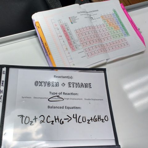 Classifying Types of Reactions Card Sort Activity | Math = Love