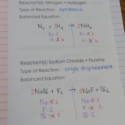 Classifying Types of Reactions Card Sort Activity | Math = Love