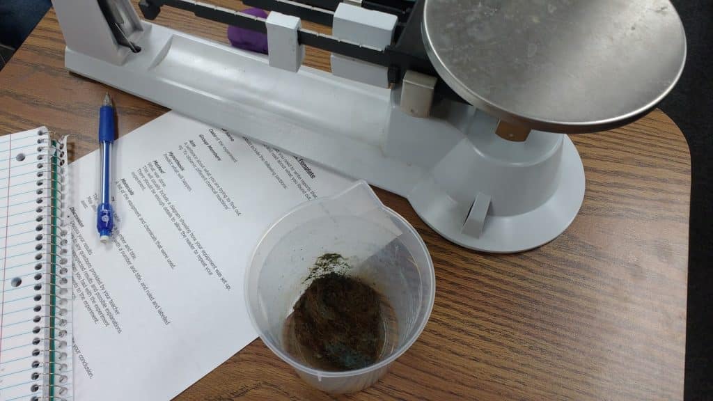 Classifying Types of Reactions Card Sort Activity | Math = Love