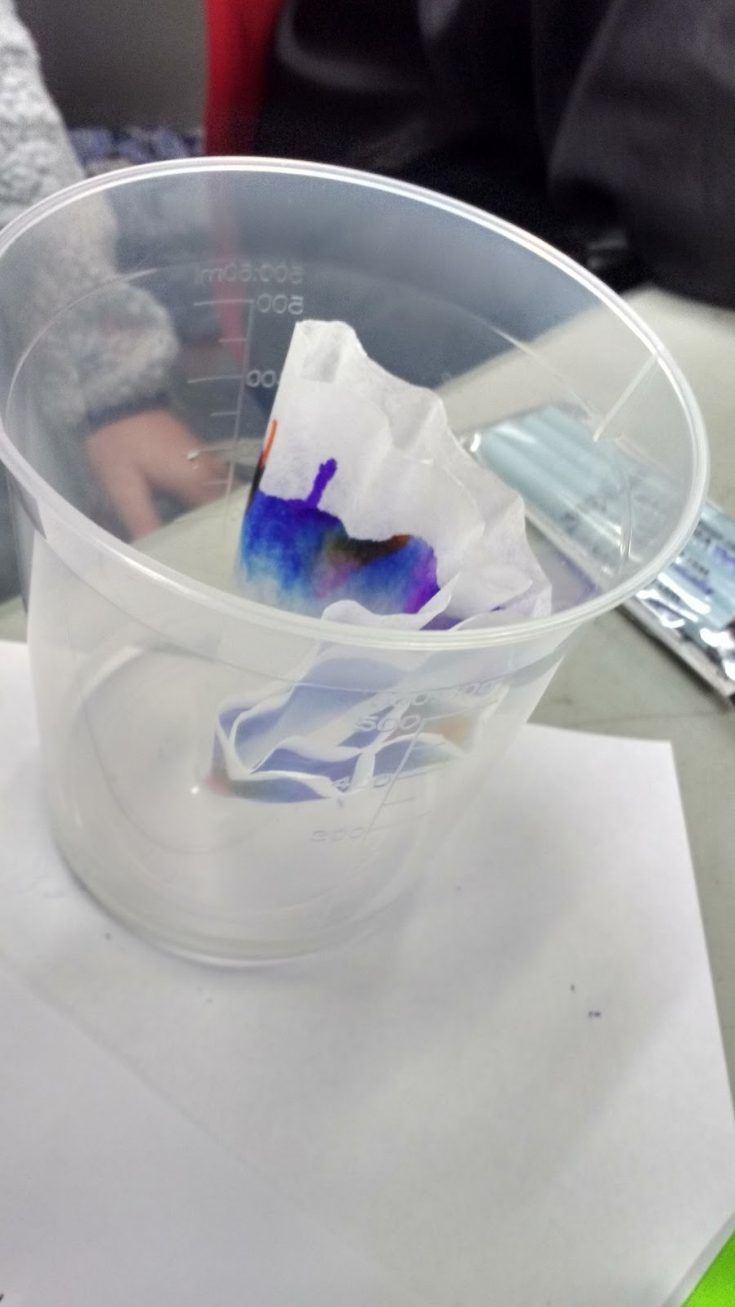 Chromatography Butterflies Bulletin Board | Math = Love