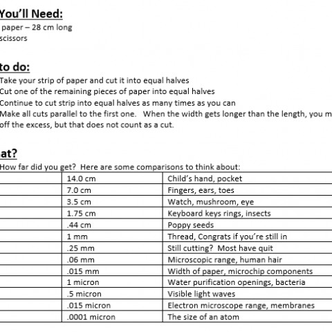 Paper Plate Bohr Models Project | Math = Love