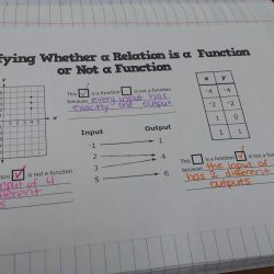 Justifying Function or Not a Function Notes | Math = Love