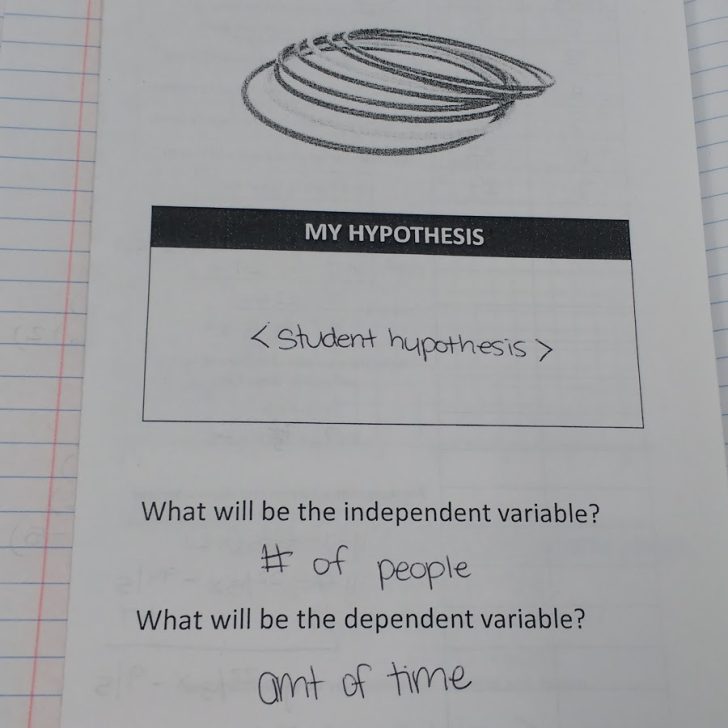 Mystery Box Probability Activity | Math = Love