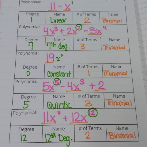 Multiplying Polynomials Using the Box Method Foldable | Math = Love