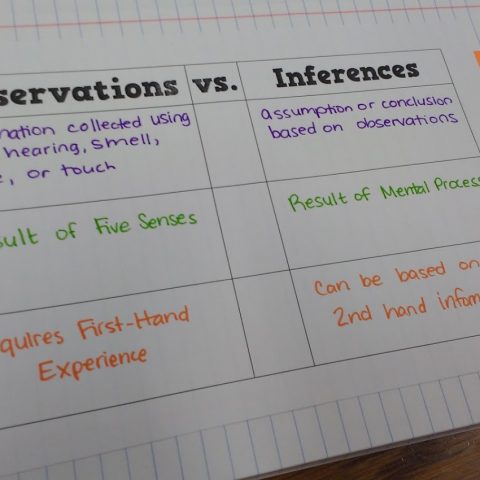 Observations vs Inferences Chart | Math = Love