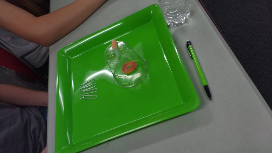 Save Fred STEM Activity for First Week of School