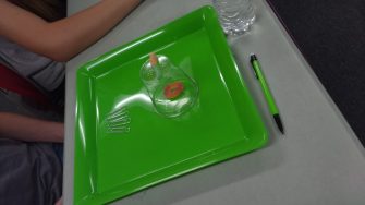 Save Fred STEM Activity for First Week of School