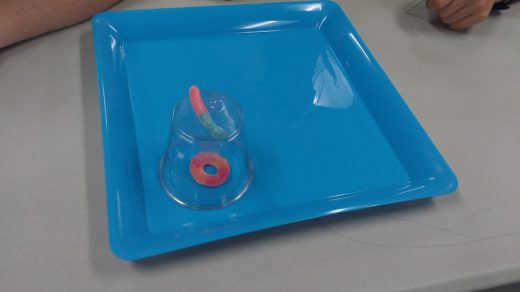 Save Fred STEM Activity for First Week of School