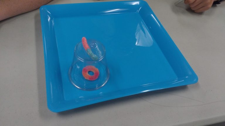 Save Fred STEM Activity for First Week of School