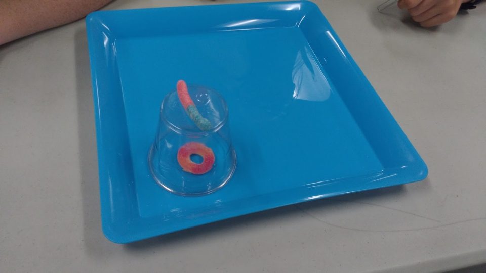 Save Fred STEM Activity for First Week of School