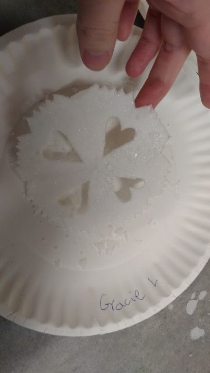 Borax Snowflake Christmas Ornaments | Math = Love