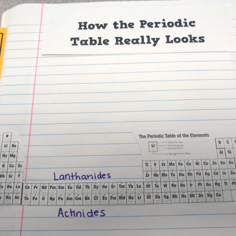 How to Read the Periodic Table Foldable | Math = Love