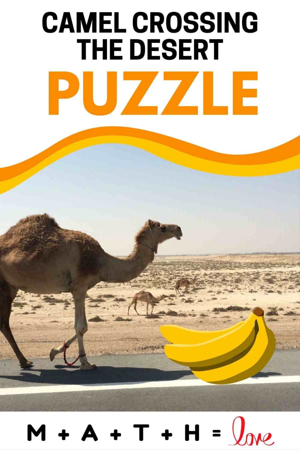 Camel Crossing the Desert Puzzle | Math = Love