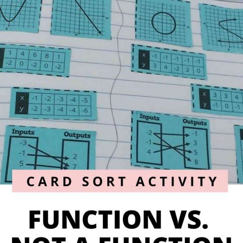 Function vs Not a Function Card Sort Activity | Math = Love