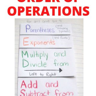 Real Number System Graphic Organizer | Math = Love