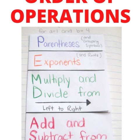 Real Number System Graphic Organizer | Math = Love
