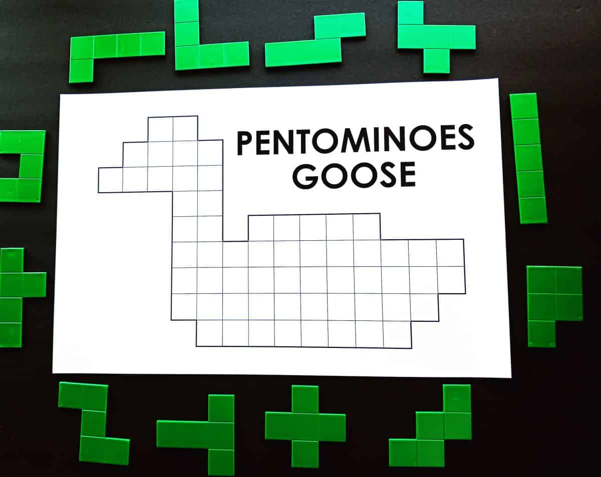 Goose Pentominoes Puzzle | Math = Love