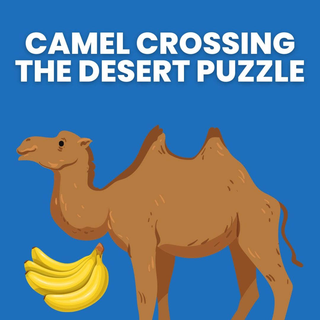 Desert Activities | Math = Love