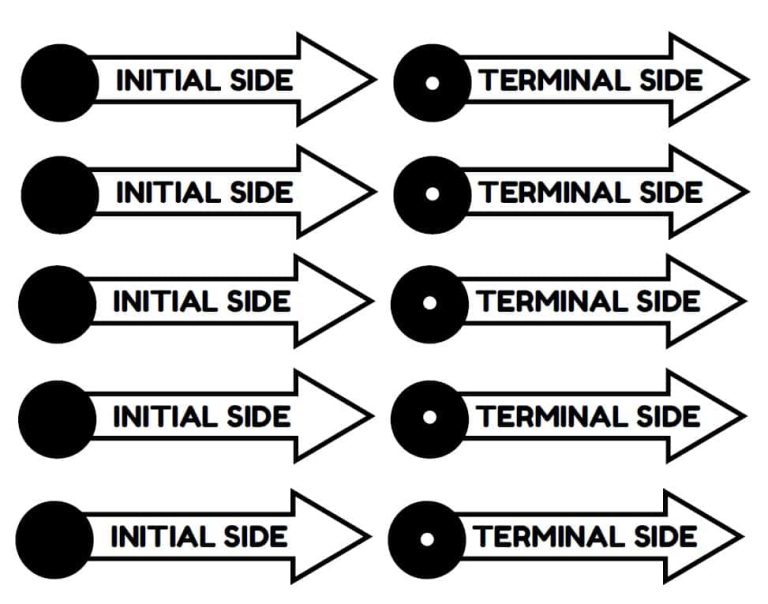 Paper Plate Angle Spinners for Trigonometry | Math = Love