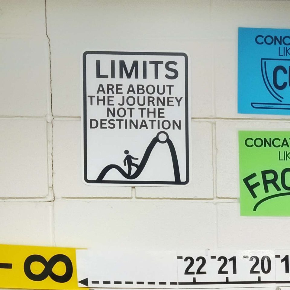 Limits Calculus Poster | Math = Love