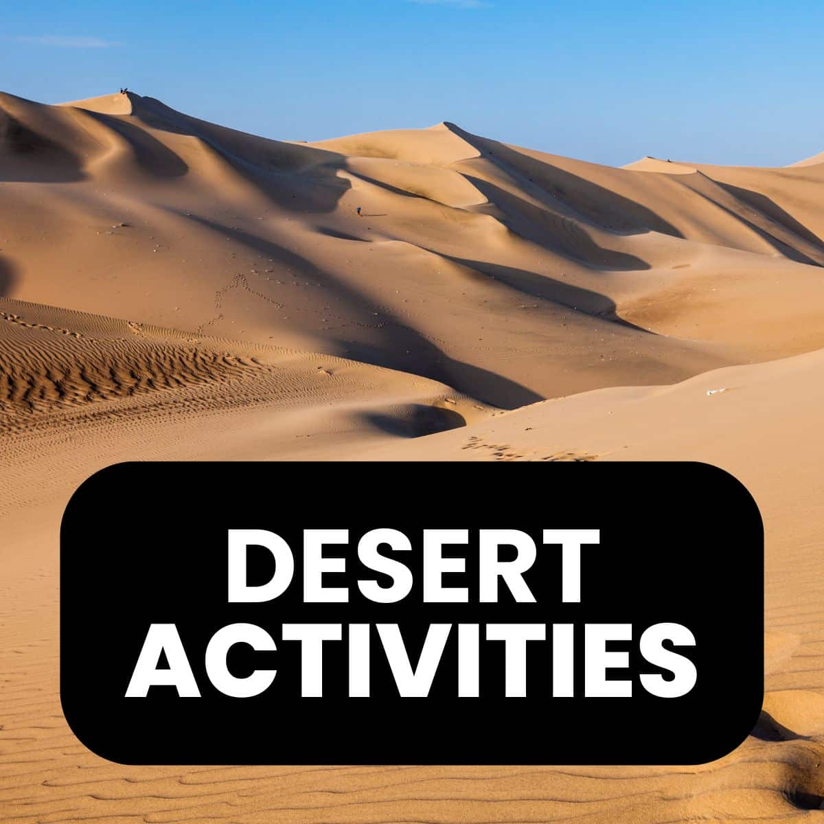 Camel Crossing the Desert Puzzle | Math = Love