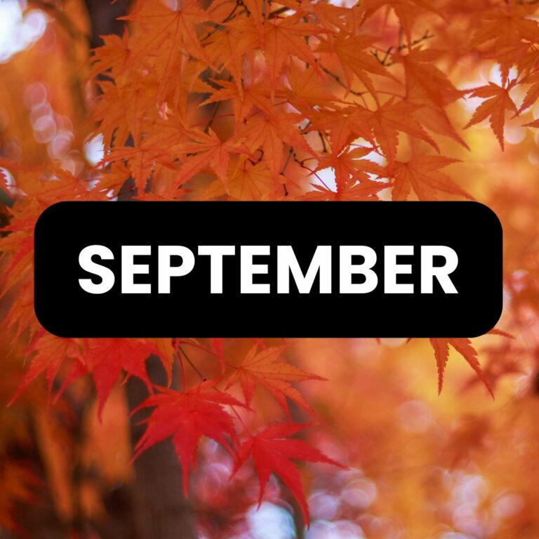 Blank Five Frame Template (Free Printable PDF)