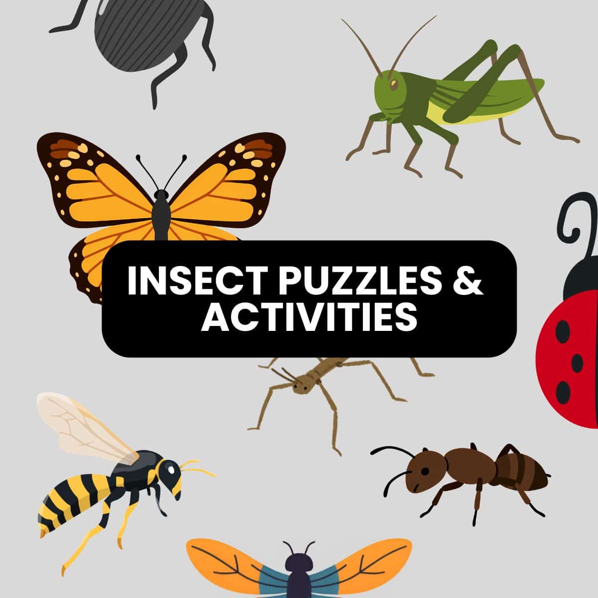 Insect Puzzles and Activities | Math = Love